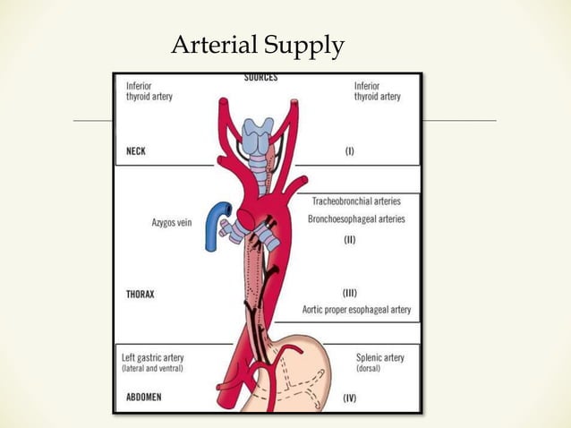 Management of Corrosive injuries - (GD) Disctrict Hospital Nashik.pptx ...
