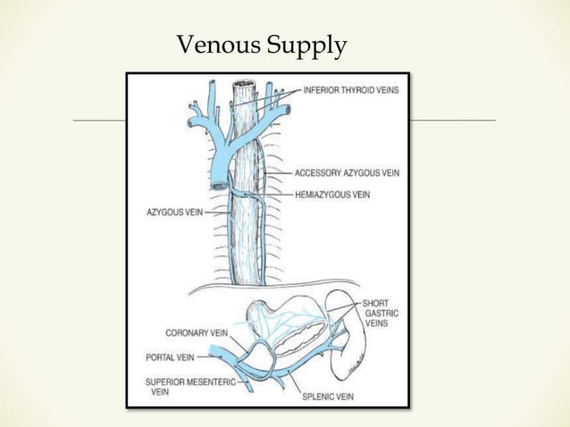 Management of Corrosive injuries - (GD) Disctrict Hospital Nashik.pptx ...