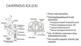 MANAGEMENT OF CRANIAL DURAL ARTEROVENOUS FISTULA.pptx