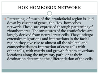 Management of craniofacial anomalies | PPTX