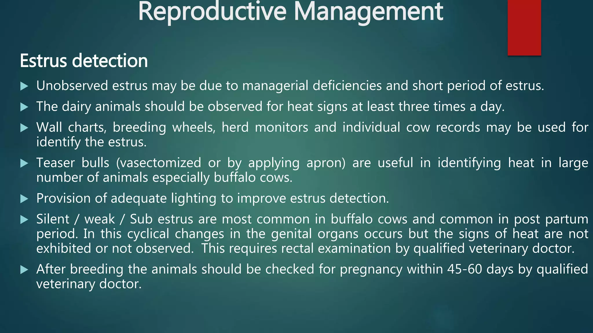 Management of dairy cattle | PPTX