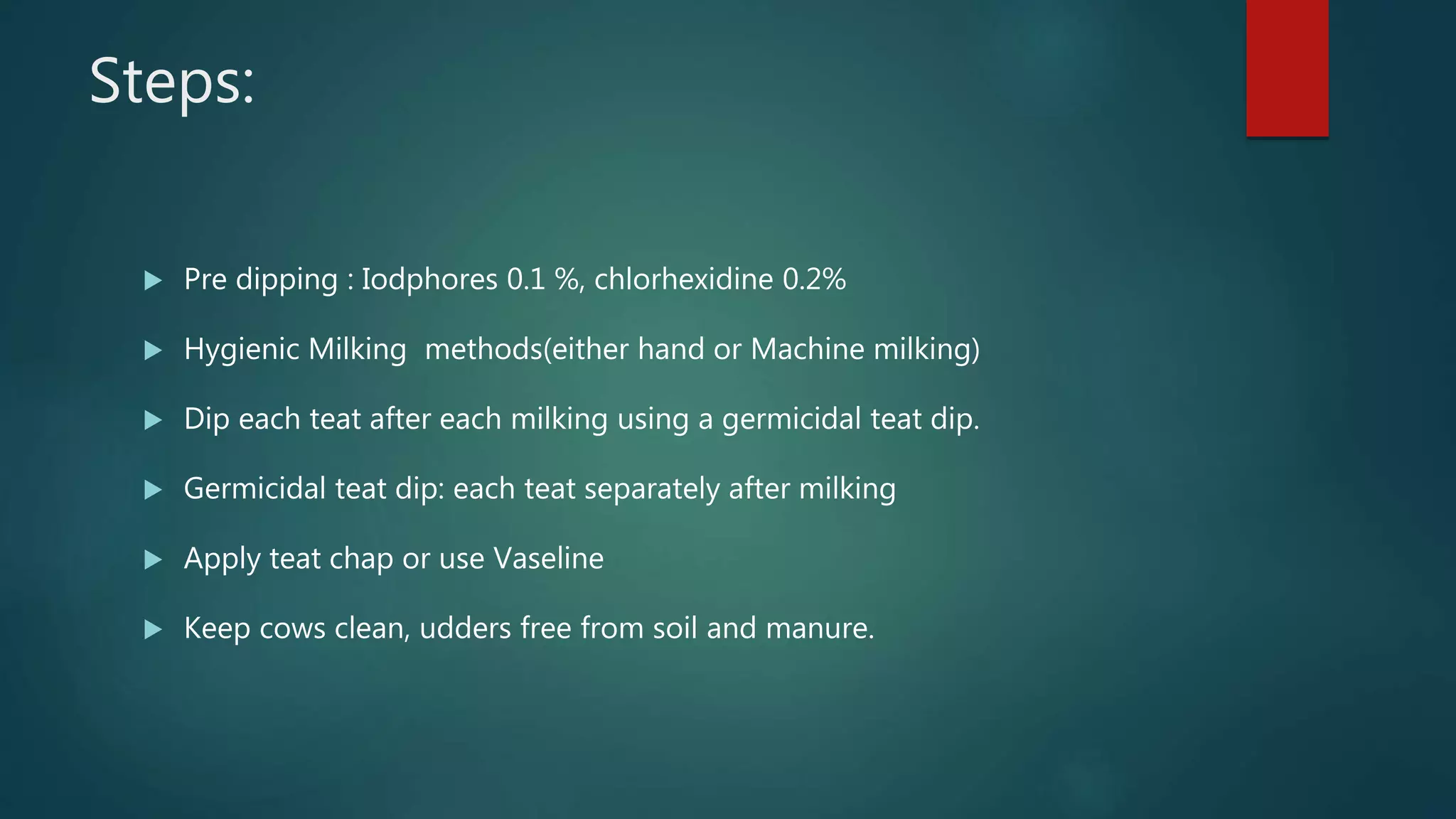 Management of dairy cattle | PPTX