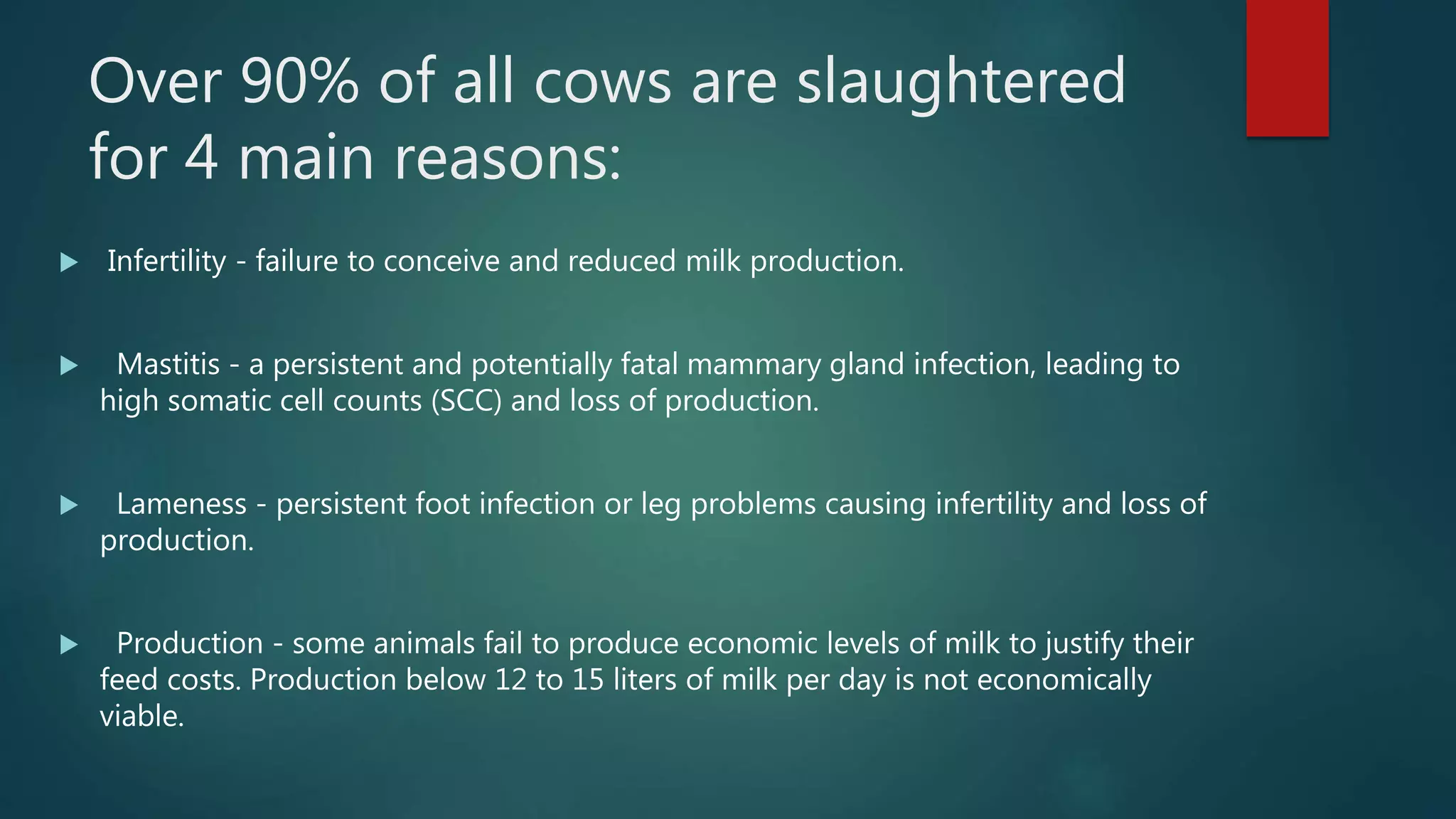 Management of dairy cattle | PPTX