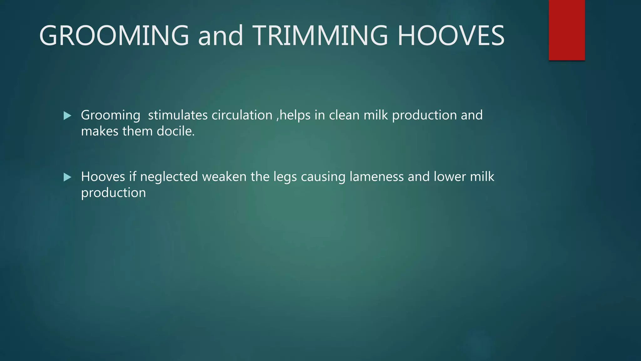 Management of dairy cattle | PPTX