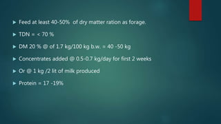 Management of dairy cattle | PPTX