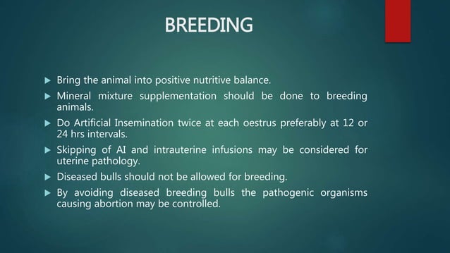 Management of dairy cattle | PPTX