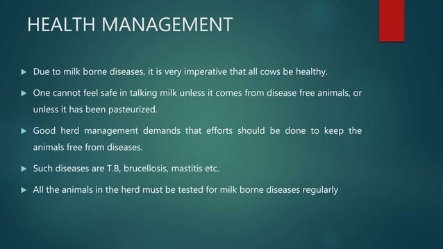 Management of dairy cattle | PPTX