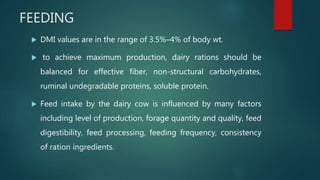 Management of dairy cattle | PPTX