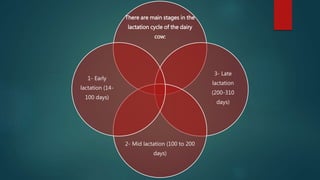 Management of dairy cattle | PPTX