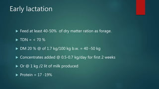 Management of dairy cattle | PPTX