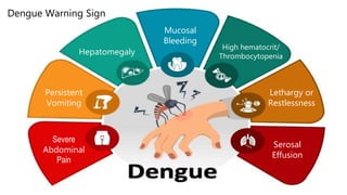 Management of Dengue by National Guideline of Bangladesh | PPTX