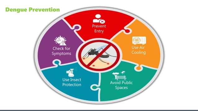 Management of Dengue by National Guideline of Bangladesh | PPTX | First ...