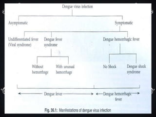 Management of Dengue Fever/ Dengue Hemorrhagic Fever | PPTX
