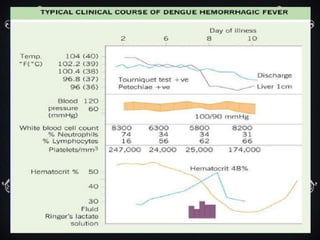 Management of Dengue Fever/ Dengue Hemorrhagic Fever | PPTX