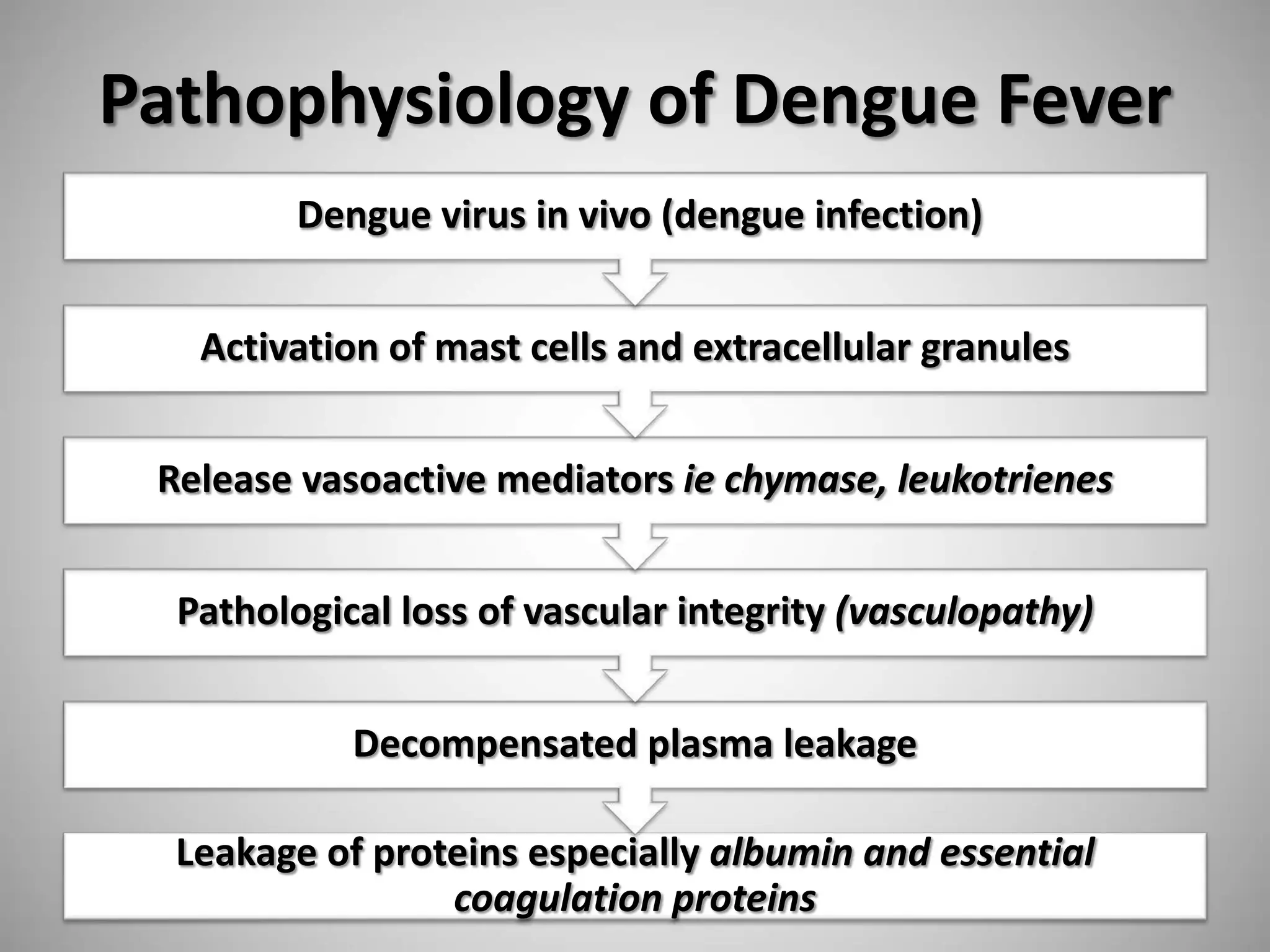 Management of dengue fever in adults-compressed.pdf