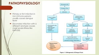 MANAGEMENT OF DENGUE Fever latest guidelines | PPTX