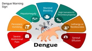 Management Of dengue FINAL (1).pptx..... | PPTX