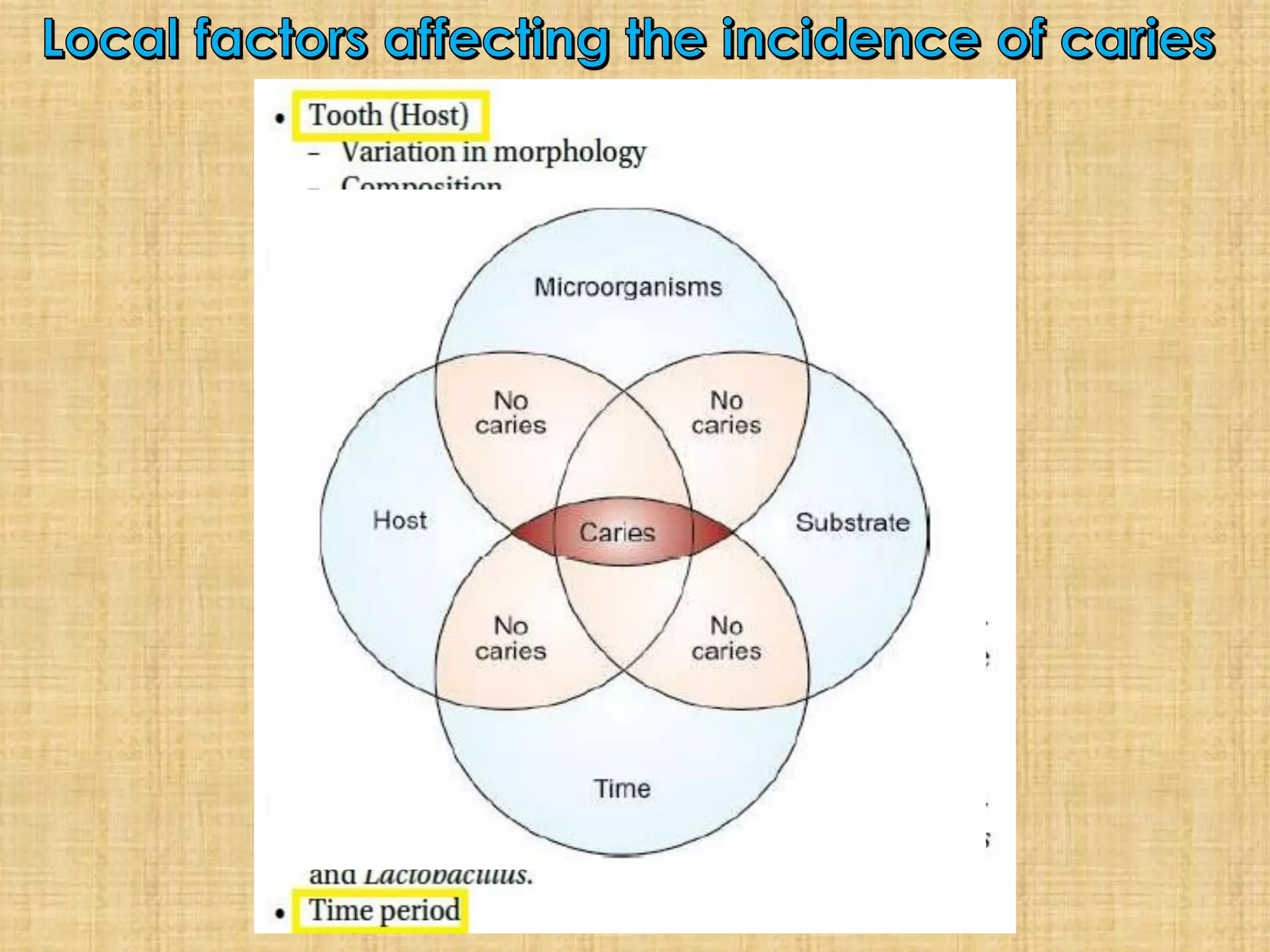 Management of dental caries | PDF