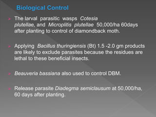 Management of diamond back moth (plutella xylostella linn ) on cabbage ...