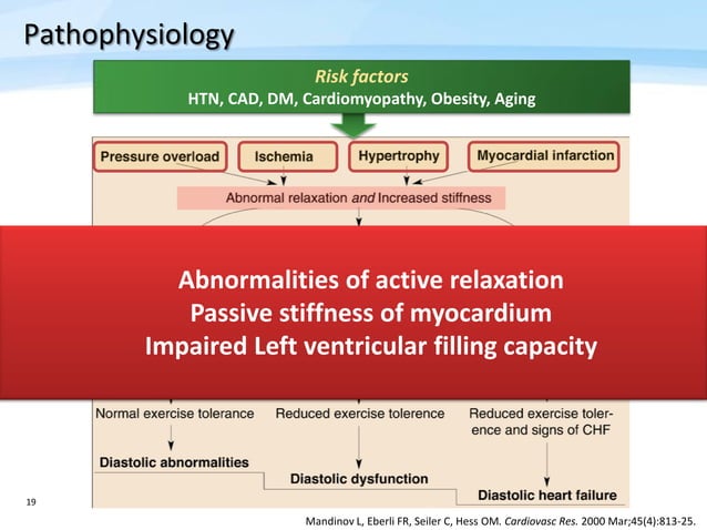 Management of diastolic heart failure | PPT