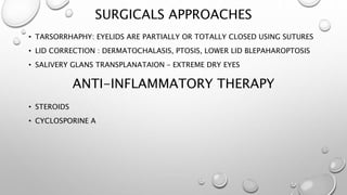 Management of dry eyes | PPT