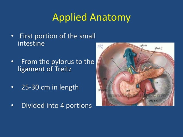 Management of duodenal trauma