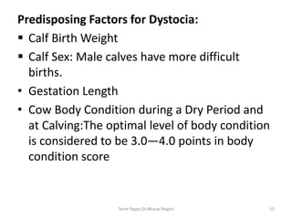 Management of dystocia in bovines | PPTX