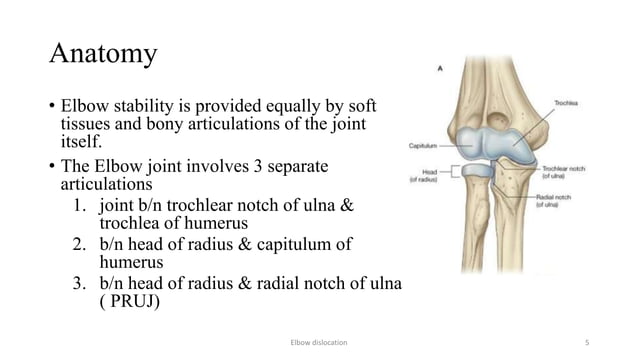 Management of Elbow Fracture Dislocation.pptx