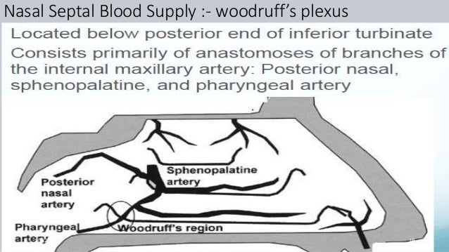 Management of epistaxis in primary care