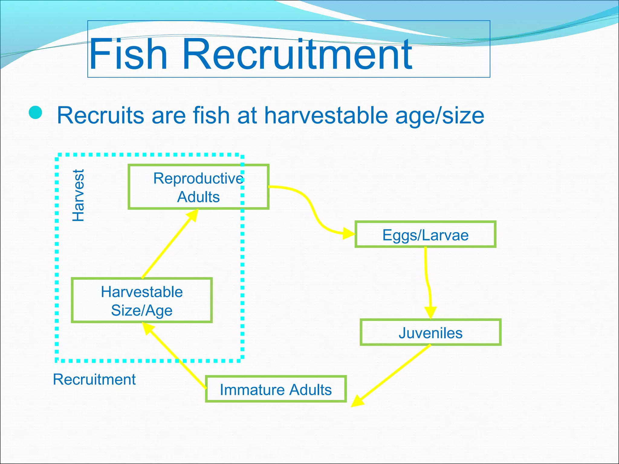 Management of fish production | PPT