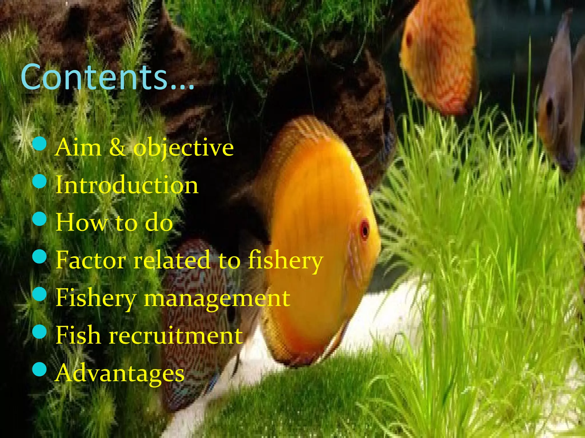 Management of fish production | PPT