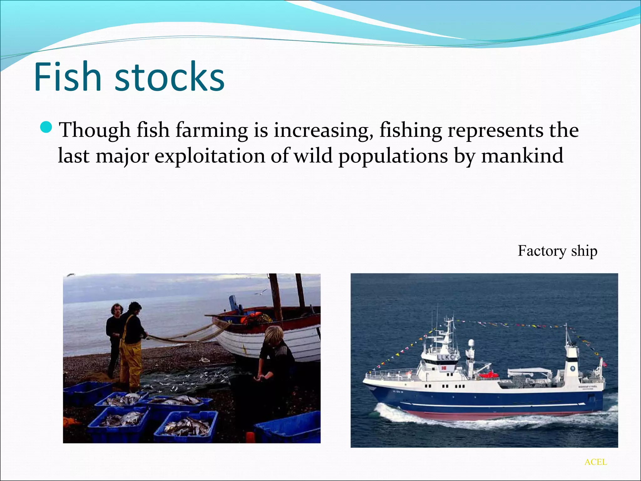 Management of fish production | PPT
