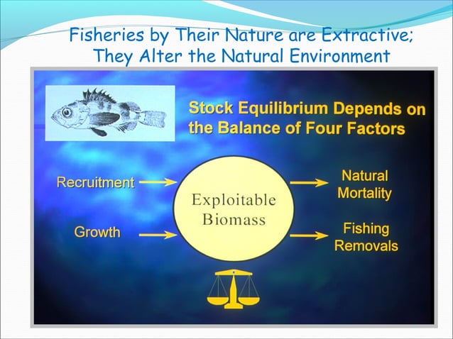 Management of fish production | PPT | Agriculture | Industries