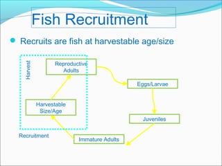 Management of fish production | PPT