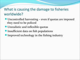Management of fish production | PPT