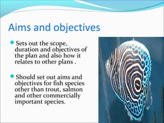 Management of fish production | PPT