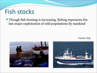 Management of fish production | PPT