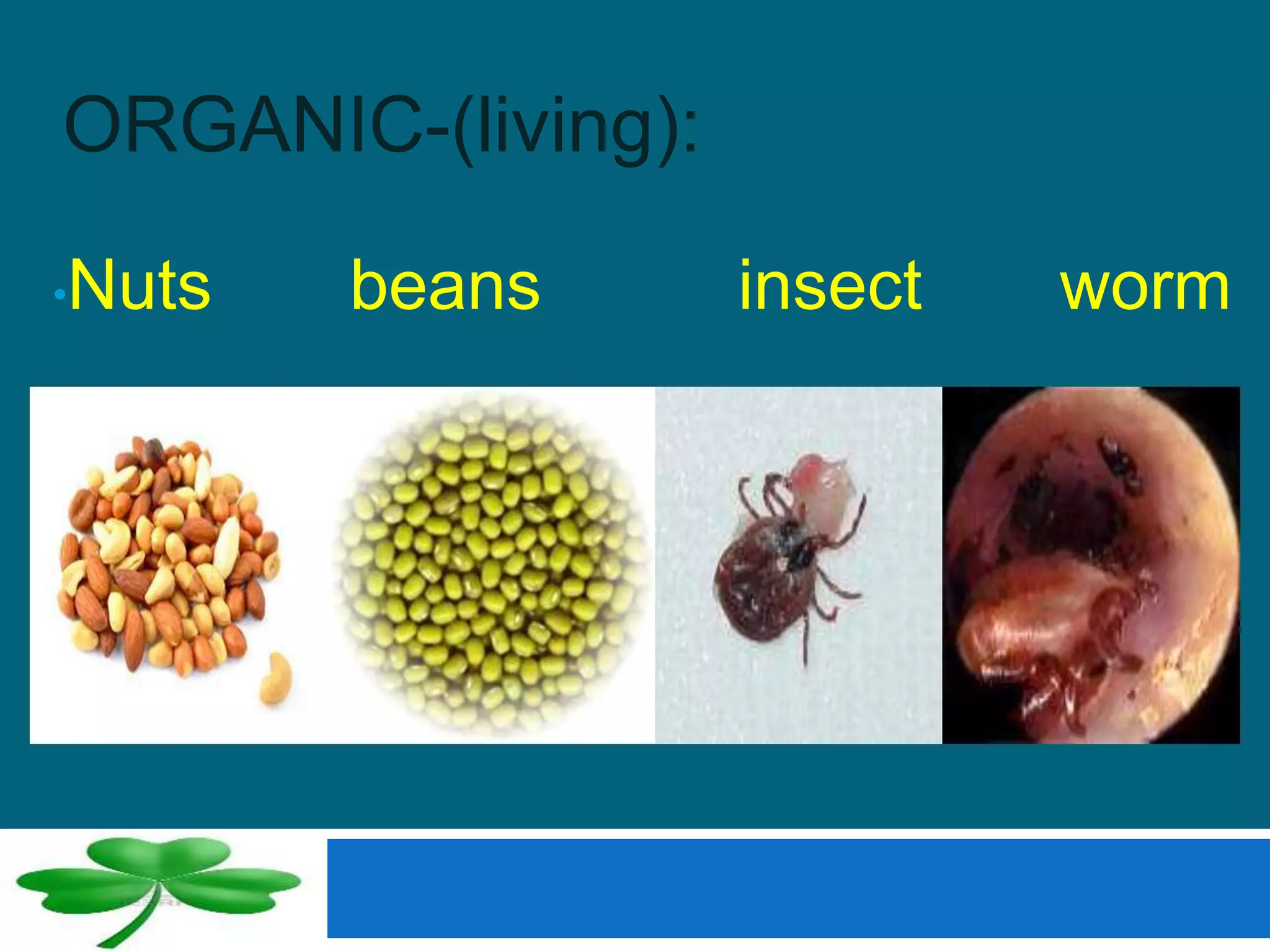 Management of foreign body in ear | PPTX
