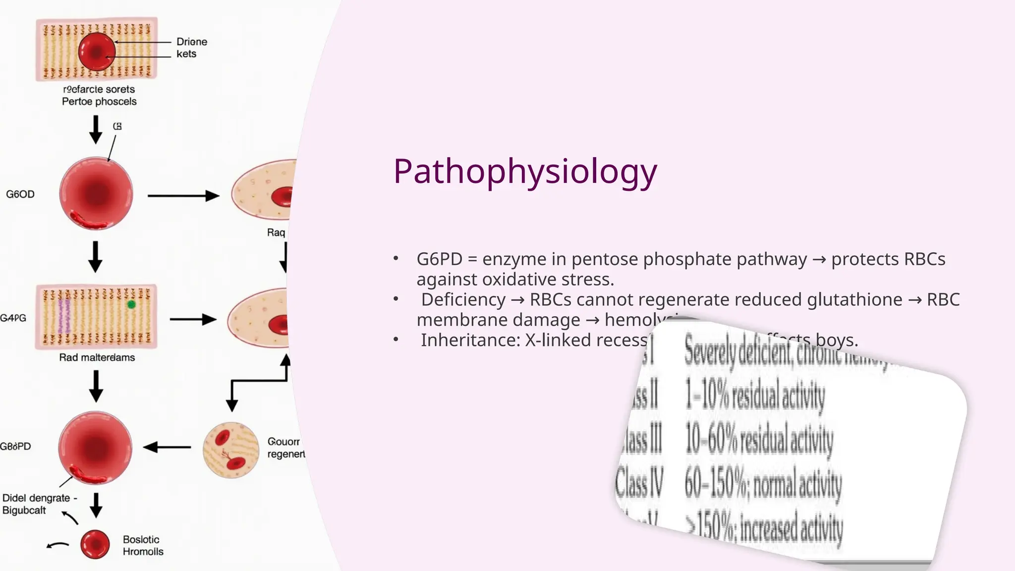 Management of Acute Hemolytic Crisis in G6PD Deficiency | PPTX