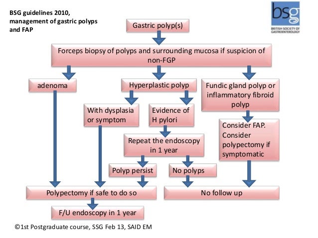 Management Of Gastric Polyps