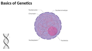 Management of Genetic Diseases.Modern and Ayurvedic perspective | PPTX