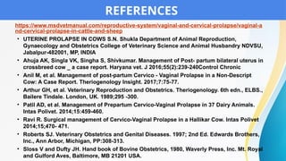 management of genital prolapse in cattle and buffalo by bhavesh devda.pptx