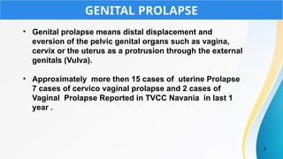 management of genital prolapse in cattle and buffalo by bhavesh devda.pptx