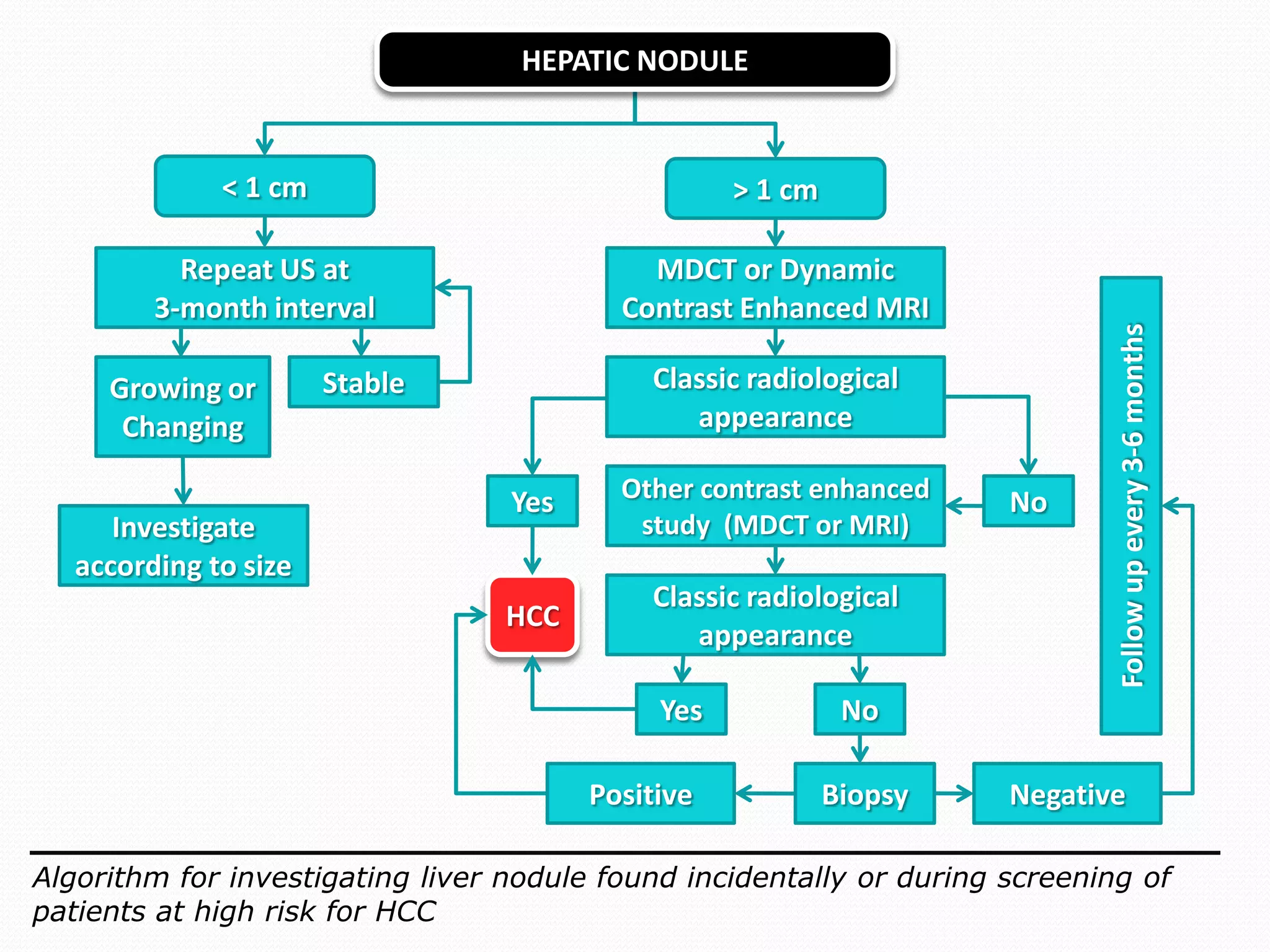 Management of HCC, an update | PPTX
