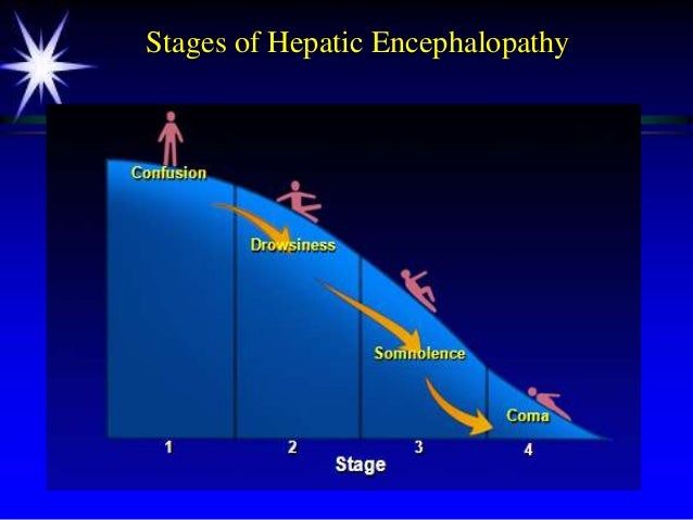 Management of hepatic encephalopathy