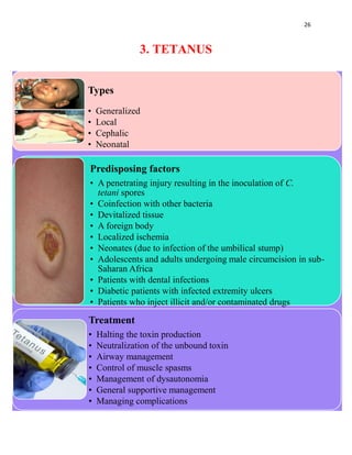 MANAGEMENT OF HEPATITIS B, RABIES AND TETANUS IN CHILDREN DECEMBER 2024.pdf
