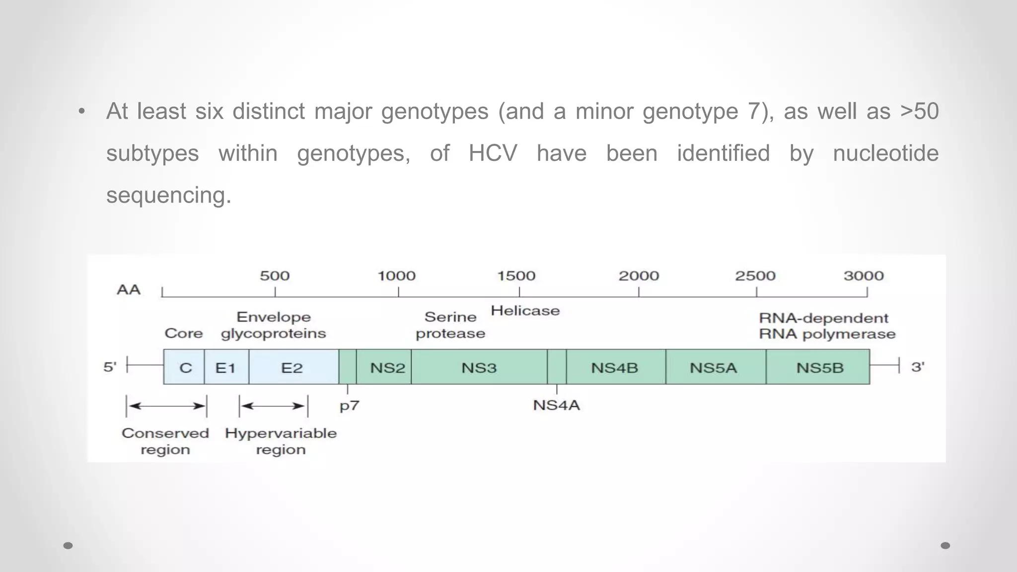 Management of Hepatitis C infection in CKD patients.pptx