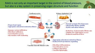 Management of hypertension in Diabetic & CKD patients (1).pptx