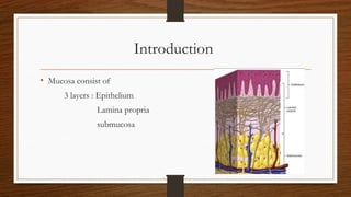 Management of hypermobile mucosa.pptx