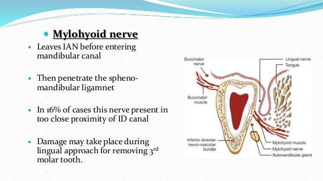 Management of impacted3rd molar
